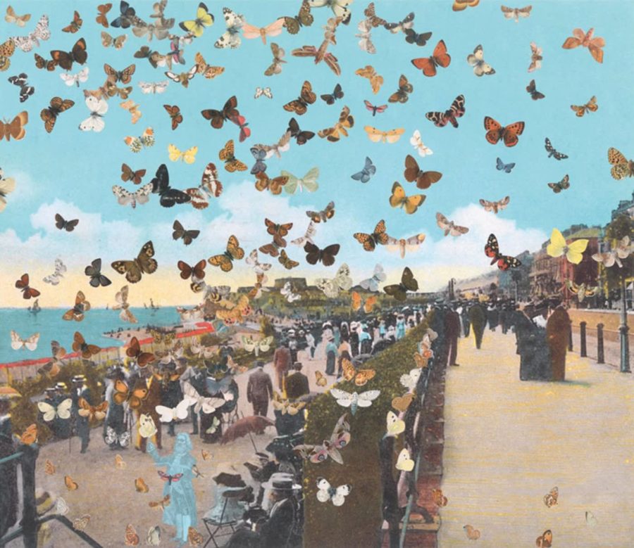 Homage to Damien Hirst by Sir Peter Blake (Box Set)